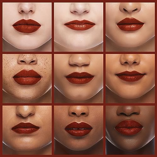 Estee Lauder Pure Color Envy Hi-Lustre Light Sculpting Lipstick #111 Tiger Eye 0.12 oz / 3.5 g Full Size, Unboxed Limited Edition