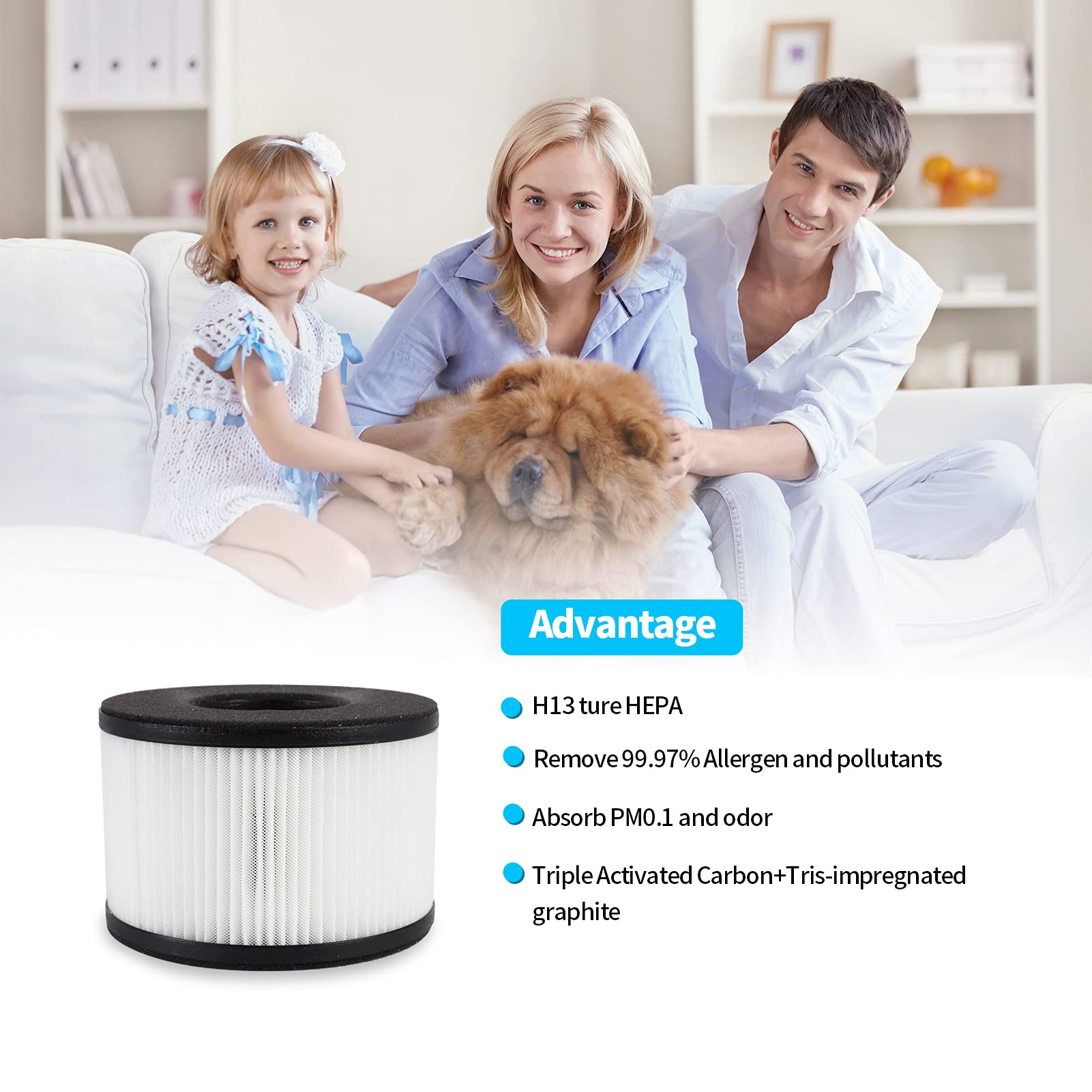 BS-03 Hepa Filter Compatible with BS-03 HEPA Air Purifier Part U, 2-Pack