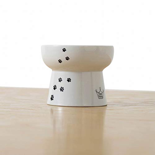 NECOICHI Raised Cat Water Bowl, Elevated, with Measurement Lines, Dishwasher and Microwave Safe (Cat, Extra Tall)