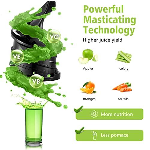 Aobosi Masticating Juicer Machine, 2-In-1 Cold Press Juicer with Large Feed Chute for Juice & Ice Cream, Powerful Slow Juicer for Vegetable and Fruit, Easy Clean Self Feeding (Blue)