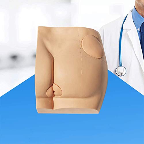 SHRFC Medical Hip Injection Training Simulator,Injection Training Vivid Hip Intramuscular Anatomical Model for Nurse, Medical Students