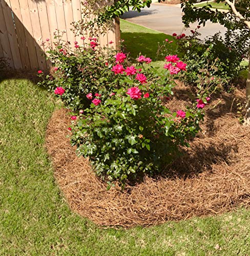 USA Pine Straw - Premium Pine Needle Mulch - Covers 300 Sqft (1)