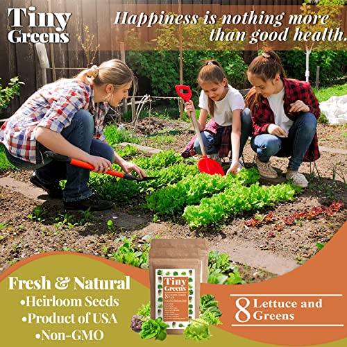 8 Heirloom Lettuce Seeds for Planting Indoors | 1200+ Non-GMO Leafy Greens Seed: Romaine Iceberg Butter Lettuce Seeds, Kale Spinach Arugula Seeds | Seeds for Hydroponic Garden Indoor Microgreens