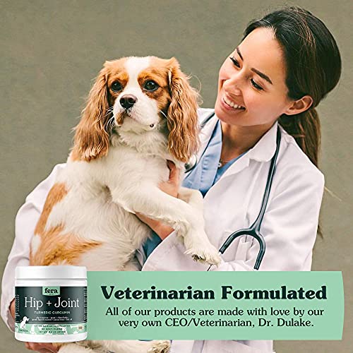 Fera Pets Hip + Joint Dog Supplement, Joint Support for Dogs with Glucosamine Chondroitin and MSM, Joint Care and Health Support Chewy Dog Treats, 90 Soft Chews