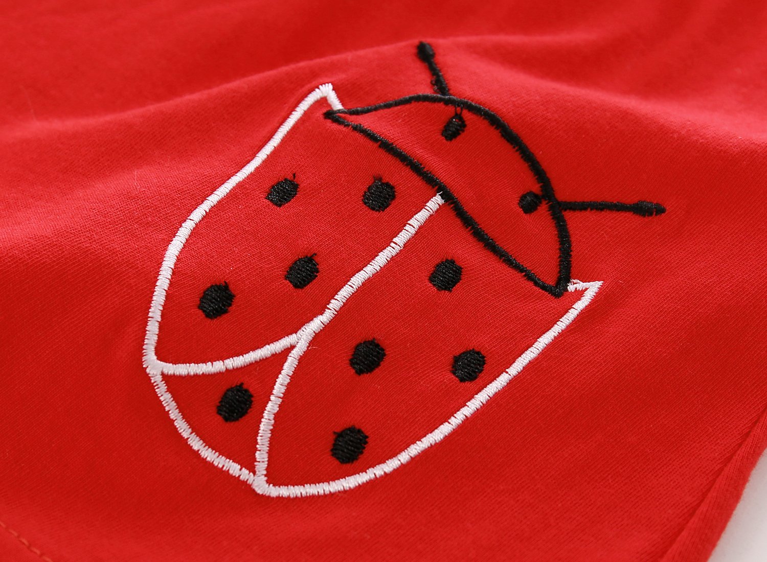 Eghunooy Baby Girls Clothes Set 2 Piece Long Sleeve Ladybug Pattern Infant Outfits (18-24 Months) Red