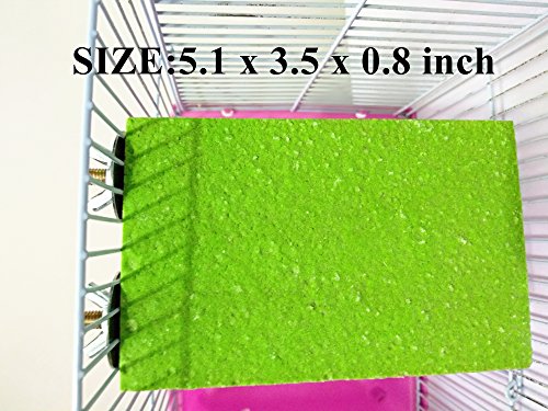 Hypeety Colorful Bird Perch Stand Platform for Parrot Macaw African Greys Budgies Parakeet Cockatiels Natural Wood Paw Grinding Clean Cage Toy (Random Color)(B)