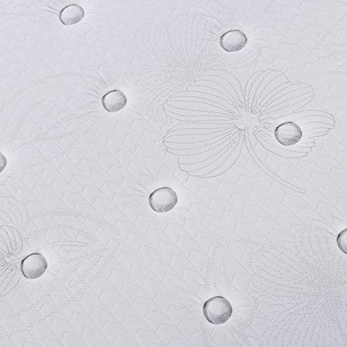 Sleeplace 11 Inch Tight Top Spring Mattress Queen -Dark Green Piping SP11SM04Q