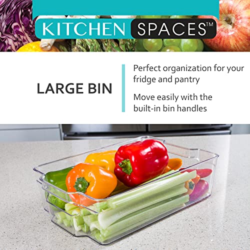 Kitchen Spaces KSL12-AMZ Large Bin Food Storage Organizer for Fridge and Pantry, 14.1" x 8.4" x 3.9", Clear