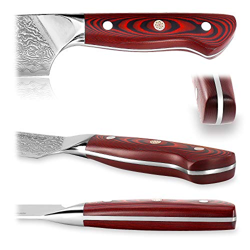 WELLSTAR Santoku Knife, Damascus Steel Kitchen Knife 7 Inch, Japanese AUS10 High Carbon Steel 67-Layer Blade Full Tang with Ergonomic G10 Handle, Razor Sharp Chefs' Knife - Gift Box