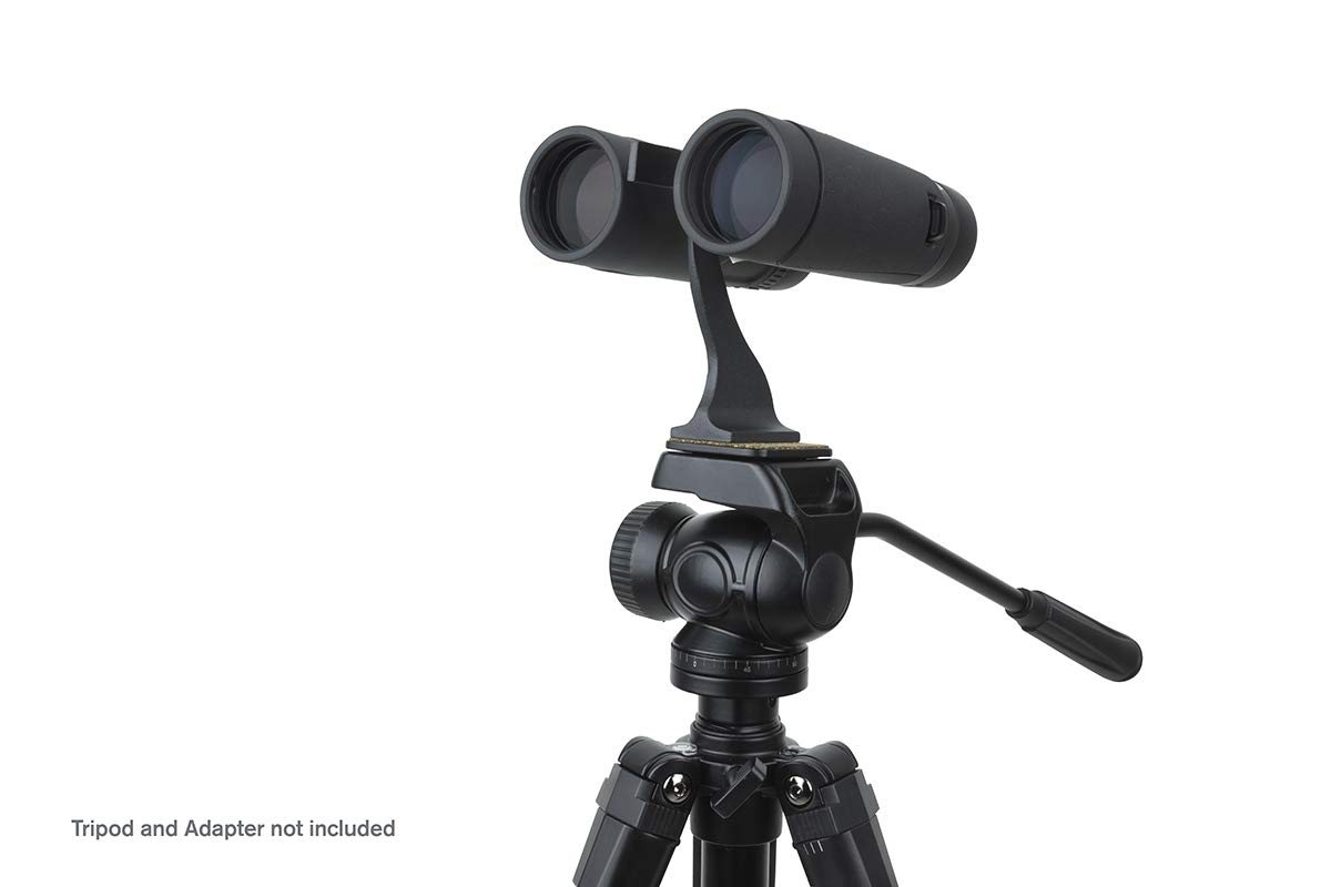 Celestron TrailSeeker 8x42 ED Binoculars - Compact Birdwatching Binoculars with ED Objective Lenses, Broadband Multi-Coated Optics, BaK4 Roof Prism