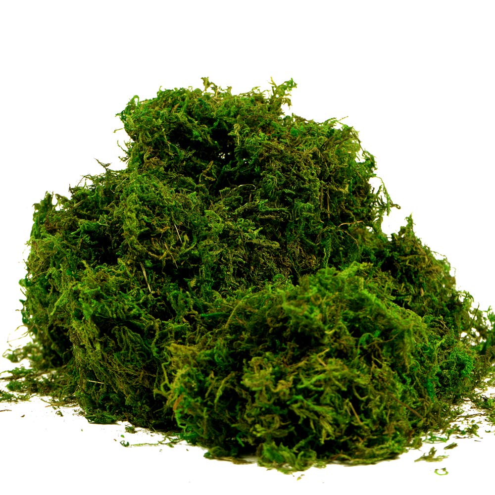 BYHER Artificial Moss Fake Green Grass for Centerpieces Home Kitchen Garden Decor (8OZ, Fresh)