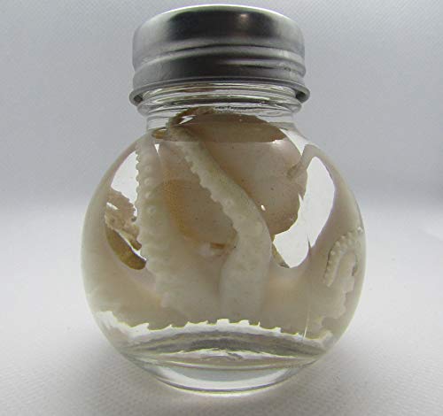 Wet Specimen Taxidermy Octopus Kraken Oddities Ball jar Preserved Specimen