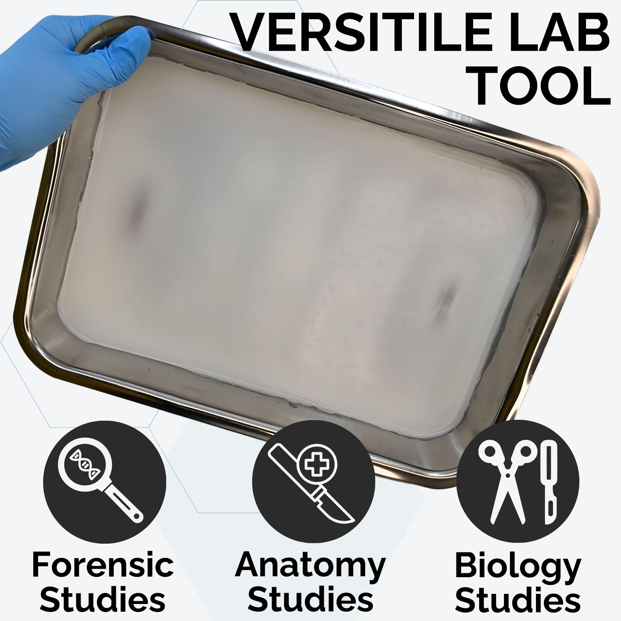 Eisco Labs - Metal Dissecting Tray with Wax, 12x9x2" - Stainless Steel Dissection Tray for Biology, Anatomy, Forensic Science & Specimen Pinning, Lab Dissection Trays, Wax-Lined Stainless Trays