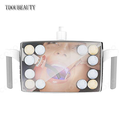 CX249-24 36W LED Shadowless dental lamp with 12 High Power LED Bulbs touch button and sensor dual control switch Adjustable 22MM TDOUBEAUTY