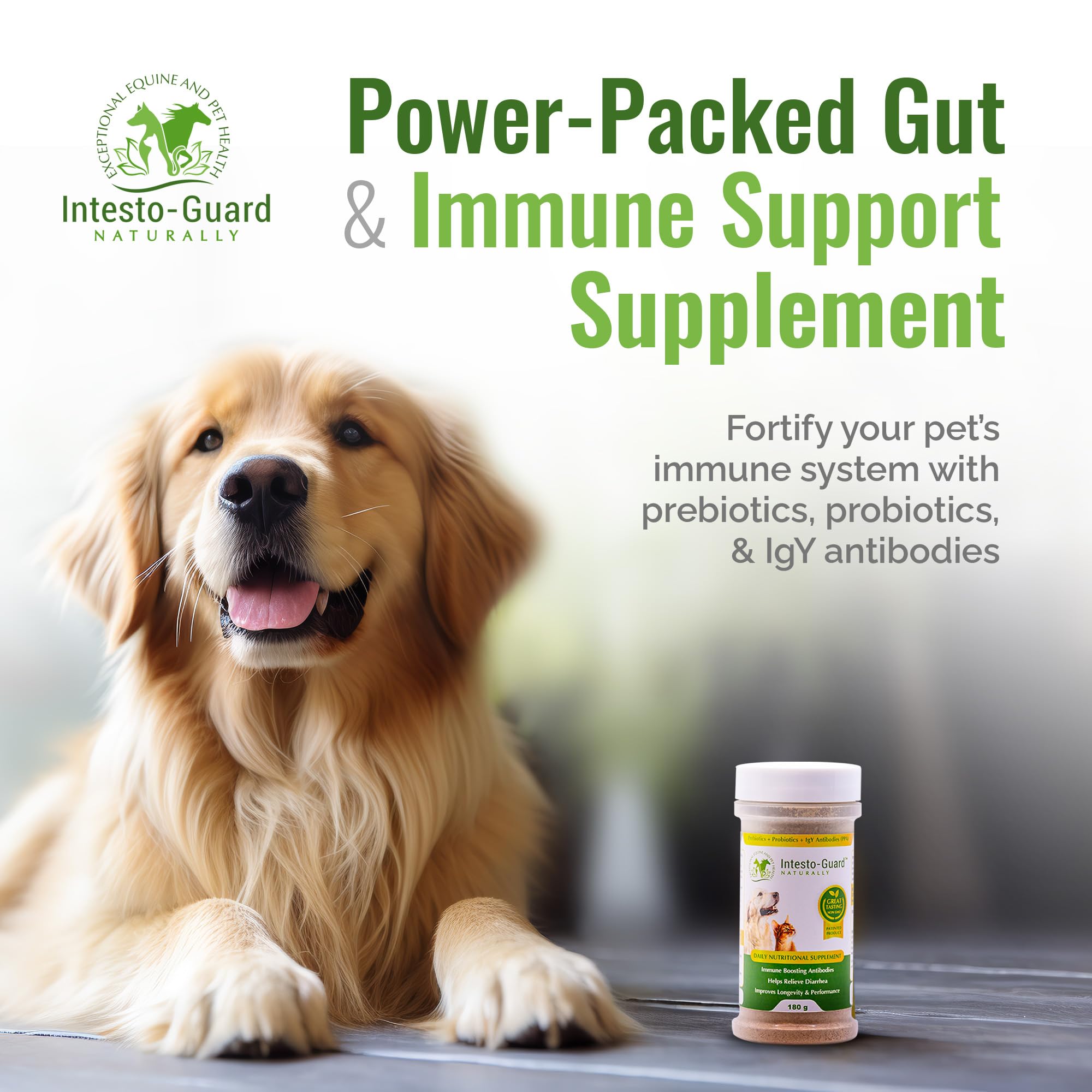 Powder Probiotics 90 Scoops for Dogs & Cats Bowel Digestive Immune Support Supports Gut Flora Nutrition Immunity 180G Bottle - 90 Scoops (Powder)