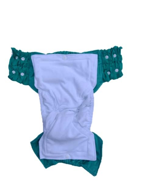 Night Time Washable Cloth Pull Up Diapers for Toddlers and Preschoolers, Ages 2 Years to 6 Years (Teal Green, Large (4-6 Years))