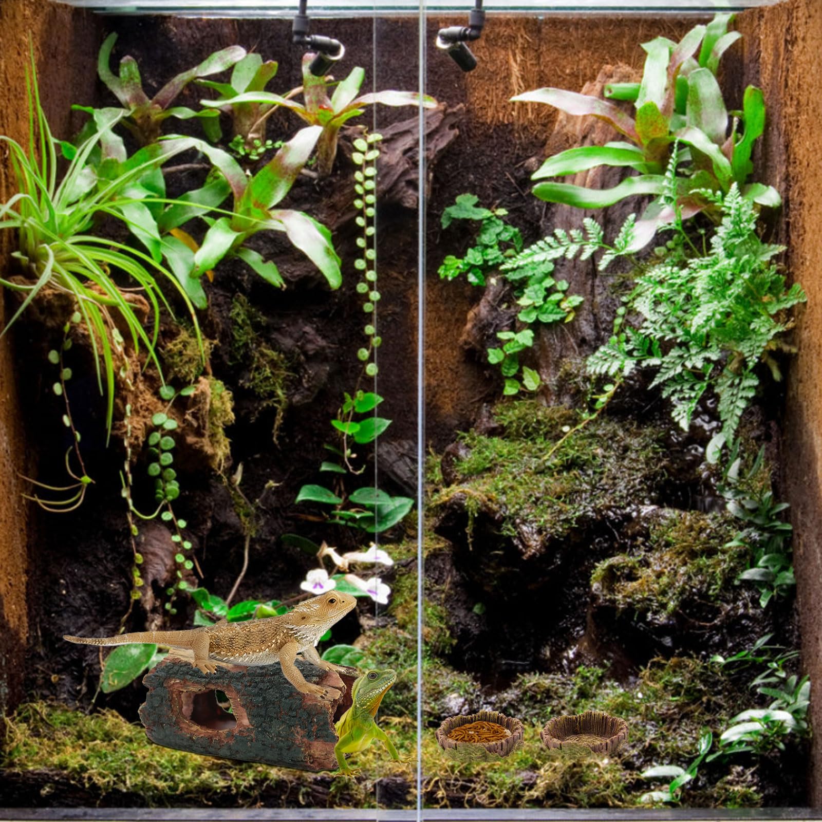 Dexspoeny 3Pcs Reptile Hide Cave Small Lizard Reptile Food&Water Bearded Dragon Bowls Accessories,Natural Resin Hollow Tree Trunk Hideout,Hermit Crab Supplies Trunk Snake Gecko Frogs Fish Tanks Decor