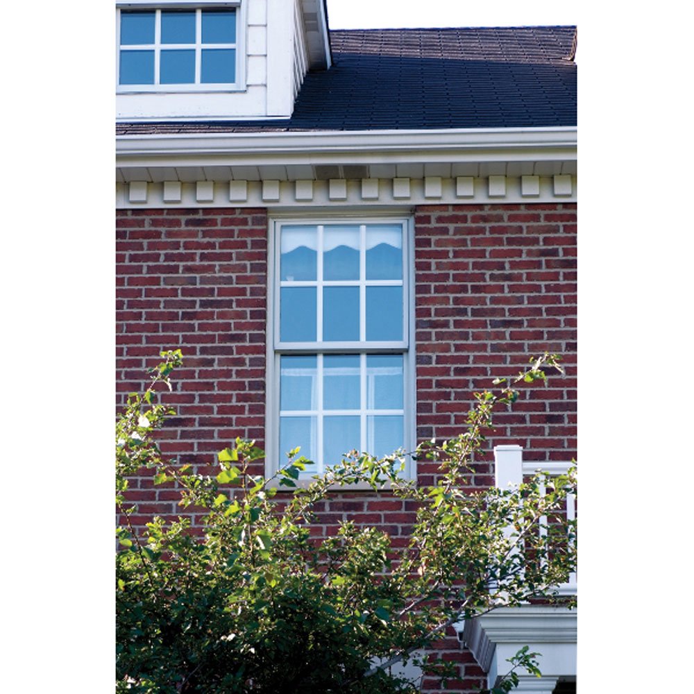Mesh Window Guard