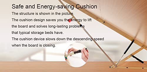 Bangshin Effort Saving and Buffer-Descending Queen Storage Bed, Safety Devices, Cushion Design, Cat Scratch Leather Covered, Reinforced Bottom Plate and 9 cm Rust-Resistant High Feet.