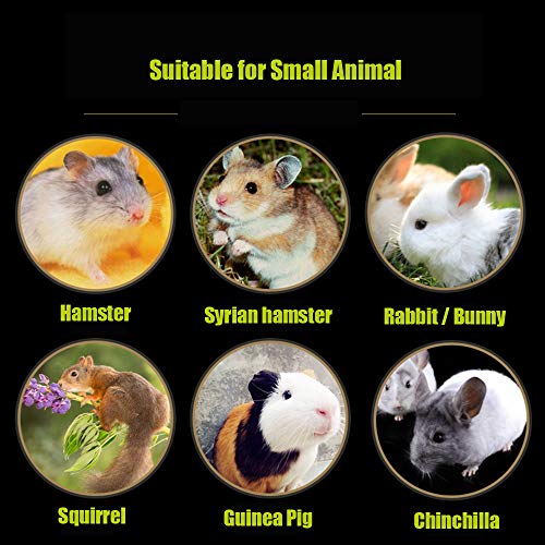 Hamster Chew Toy Lava Teeth Grinding Square Stone For Hamsters Chinchillas and Rabbits Mineral Stone Calcium Chew Toy for Small Animal(Pack of 10)