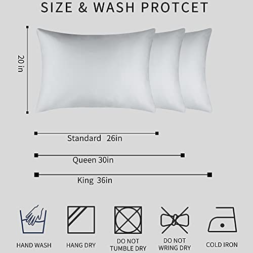 BEIJOEY 100% Mulberry Silk Pillowcase 2 Pack for Hair and Skin,with Hidden Zipper,Both Sides 19 Momme 600 Thread Count Natural Silk Pillow Cover,Soft Breathable Smooth (Dark Green, Standard 20''x26'')