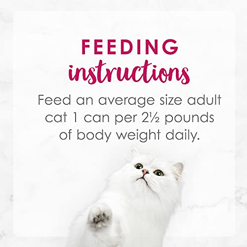 Fancy Feast Purina Delights with Cheddar Grilled Chicken & Cheddar Cheese Feast in Gravy (12-CANS) (3 OZ Each)