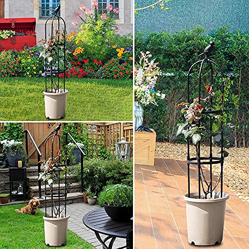 Anothera 6ft Rustproof Metal Pipe with Heavy Duty Plastic Coated, Garden Outdoor Indoor Potted Plant Support, Round Obelisk Trellis for Climbing Vine(Black)
