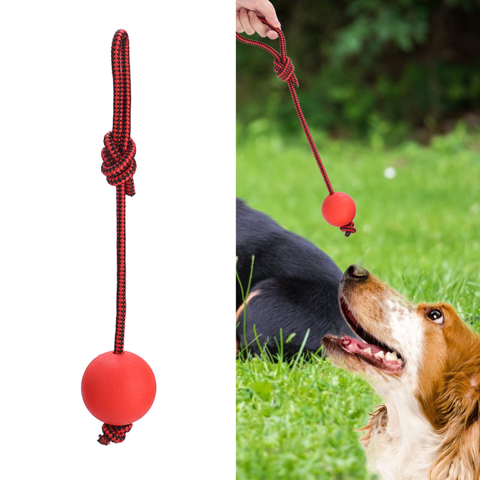 Qyebavge Dog Bite Training Ball with Rope – Durable Rubber Chew Toy for Dental Health, Interactive Play Pet Accessory