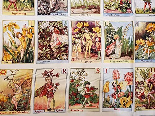 Alphabet Panel Flower Fairy ABC Fabric Michael Miller - 24 Inch Panel