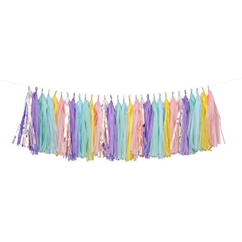 Fonder Mols Rainbow Tissue Tassel Garland DIY Kit Pink Pastel Ombre Tassel Banner for Girls Room,Nursery, Unicorn Baby Shower Birthday Party Decorations A29