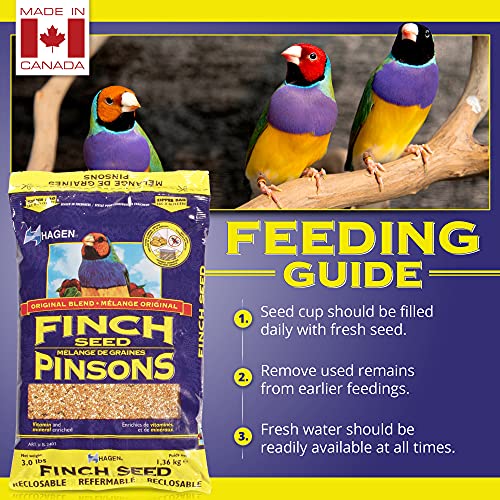 Hagen Finch Staple Vme Seed, 3-Pound