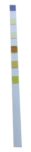 AquaChek 600 551236 7 in 1 Silver Swimming Pool/Spa Chlorine/pH Test Strips