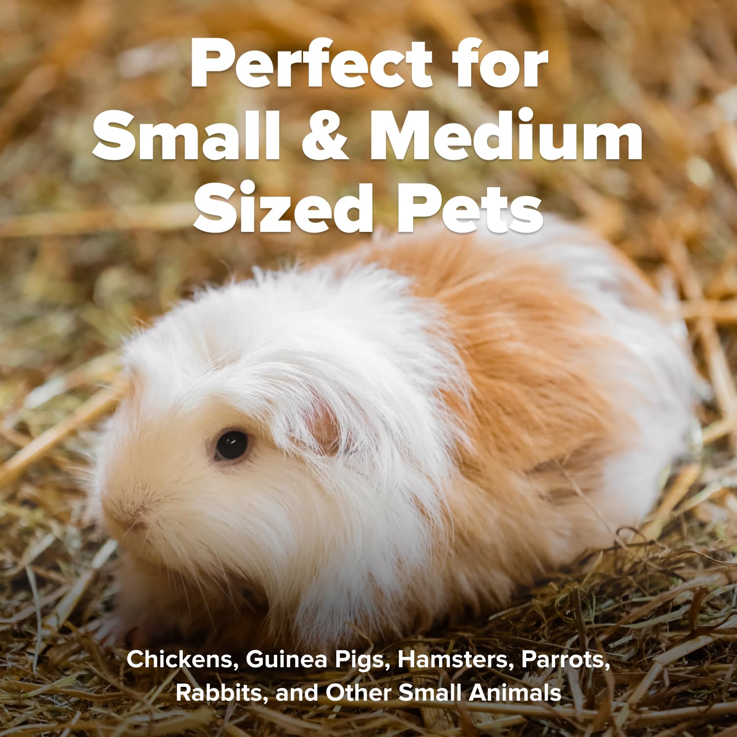 All Walks 18.5L 100% Natural Hemp Bedding - Odor Control, Dust-Free, Chemical-Free, for Chicken Coops, Hamsters, Rabbits & Small Animals, Biodegradable, Made in USA, Highly Absorbent