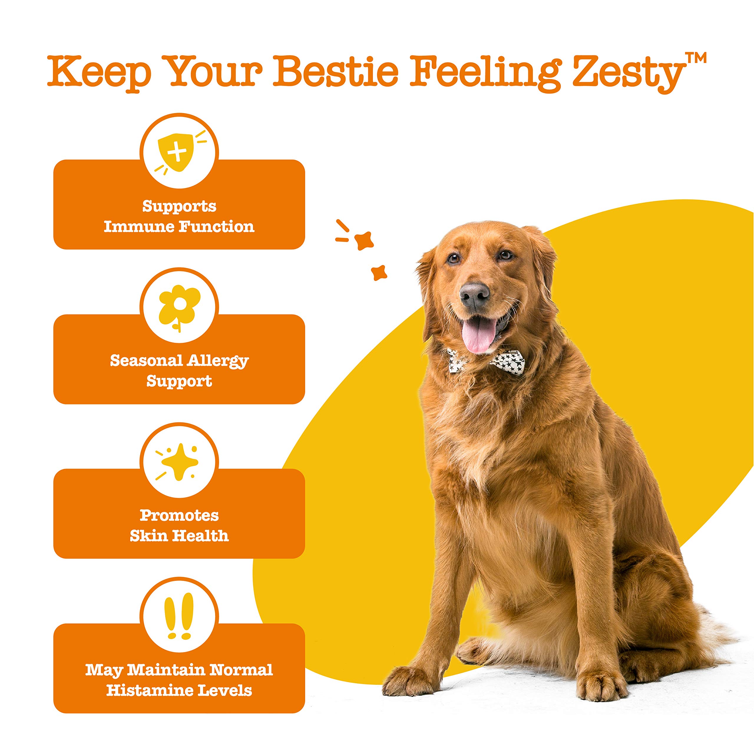 Allergy Immune Supplement for Dogs - with Omega 3 Wild Alaskan Salmon Fish Oil + Senior Advanced Multifunctional Supplement for Dogs β Glucosamine & Chondroitin