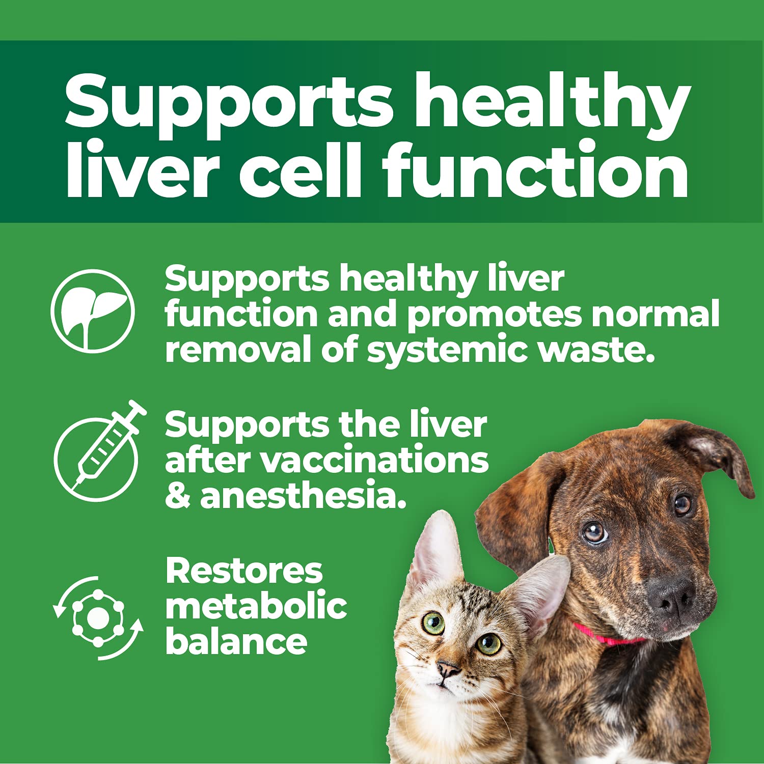 Animal Essentials Milk Thistle Liver Support for Dogs and Cats, 30 Capsules - Made in USA Liver Supplement