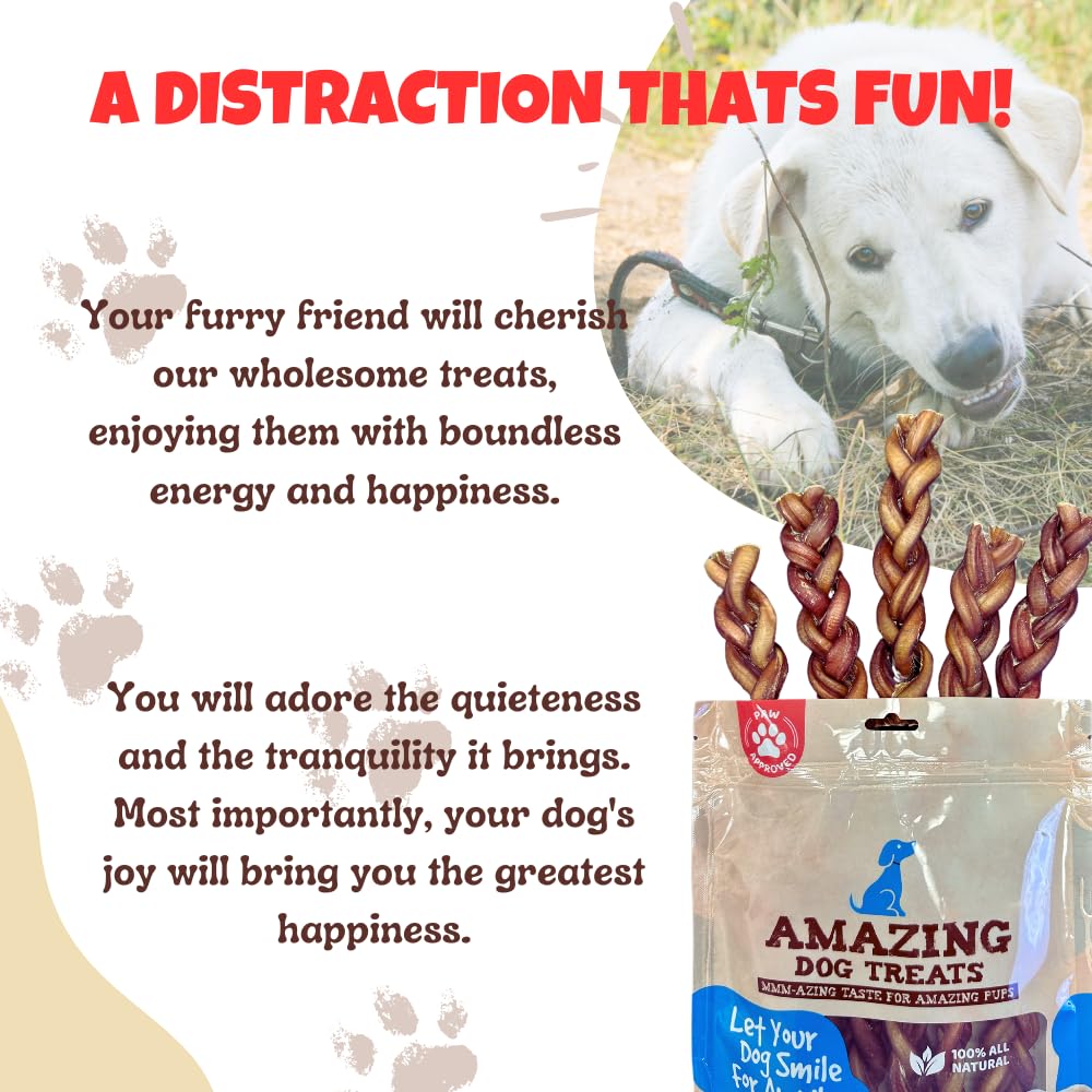 Amazing Dog Treats 6" Braided Bully Stick (10 Pcs/Pack) - Bully Stick for Dogs - Made from Premium Grass Fed Argentinian Beef