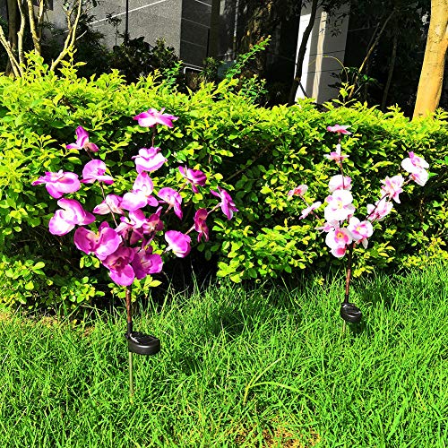 Crisist Solar Pathway Light, Beautiful Elegant Solar Power 2Pcs/Set Garden Light, for Home Outdoor