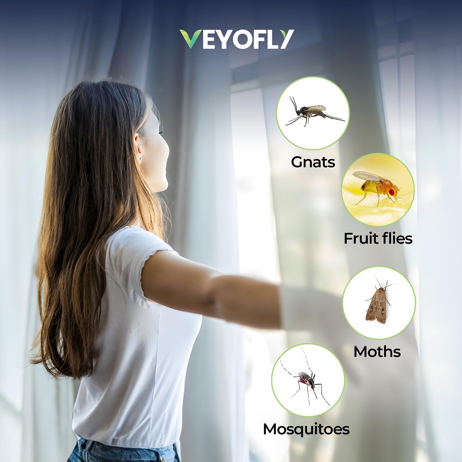 Veyofly Sticky Traps for Plants and Windows, Bundle with 5 Yellow Sticky Traps for Gnats & 5 Window Fly Traps -Gnat Trap, Bug Sticky Traps, Fungus Gnat Trap, Fly Strips, Fly Tape- Pack of 10β