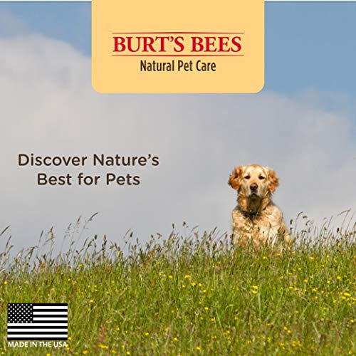 Burt's Bees for Pets Natural Ear Cleaner with Peppermint and Witch Hazel | Effective & Gentle Dog Ear Cleaning Solution for All Dogs And Puppies | Made in USA, 4 Oz