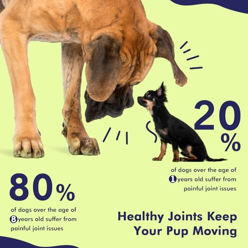 AHALEA Mobility Bites Dog Joint Supplement - Hip and Joint Chews for Dogs - Pet Products with Glucosamine, Chondroitin, & MSM + Vitamins C and E for Dog Joint Relief 60 ct