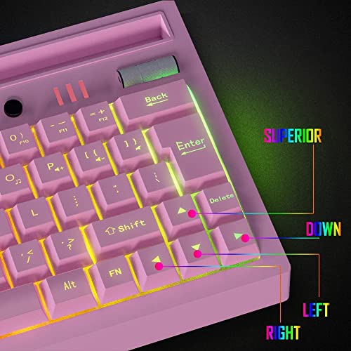 CTBTBESE Wireless RGB Backlit Gaming Keyboard, Ultra-Compact 61 Keys with Phone Stand, Waterproof for PC/Mac Gamer, Typist, Travel(Pink)…