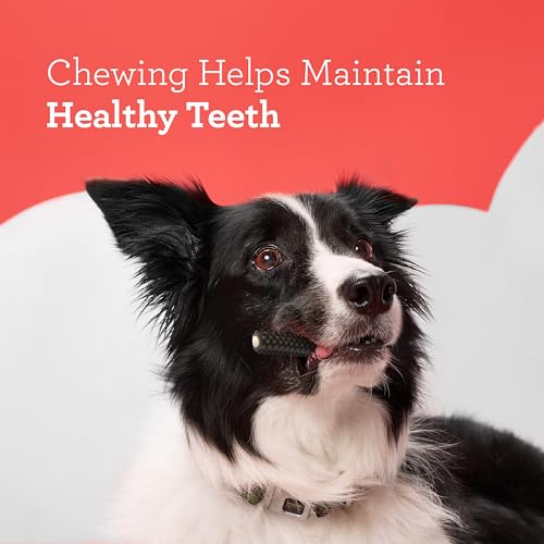 Dreambone Triple Action Dental Sticks Charcoal, 6 Count, Rawhide-Free Chews for Large and XL Sized Dogs Freshens Breath