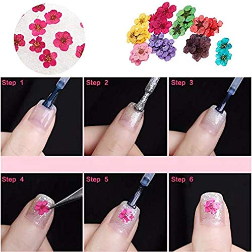 Valuu 3D Nail Dried Flowers Sticker,60 Five Petal Flower 12 Colors Natural Real Dry Flower Nail Stickers (60 Flowers)