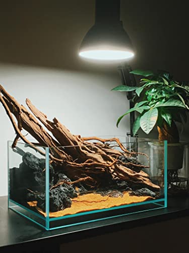 Azil Natural Driftwood for Aquarium Decor Fish Tank Decorations, 3 PCS (6 to 8 Inch) Assorted Branches Decorations on Reptile Tank