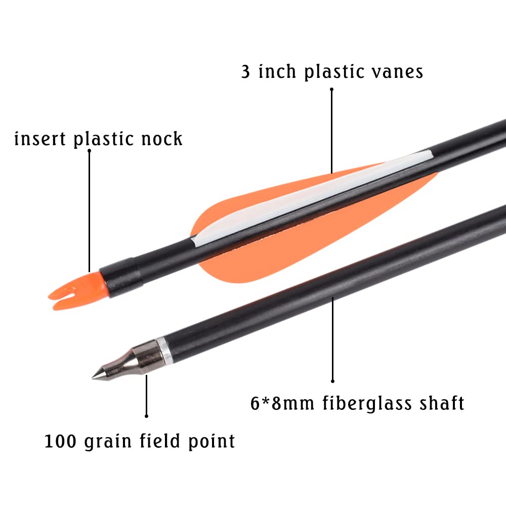 8075 Fiberglass Arrows Archery Hunting Target Practice Arrows 30 Inch with Removable Tips for Compound & Recurve Bow 6PCS/Pack (One White Two Orange Vanes)