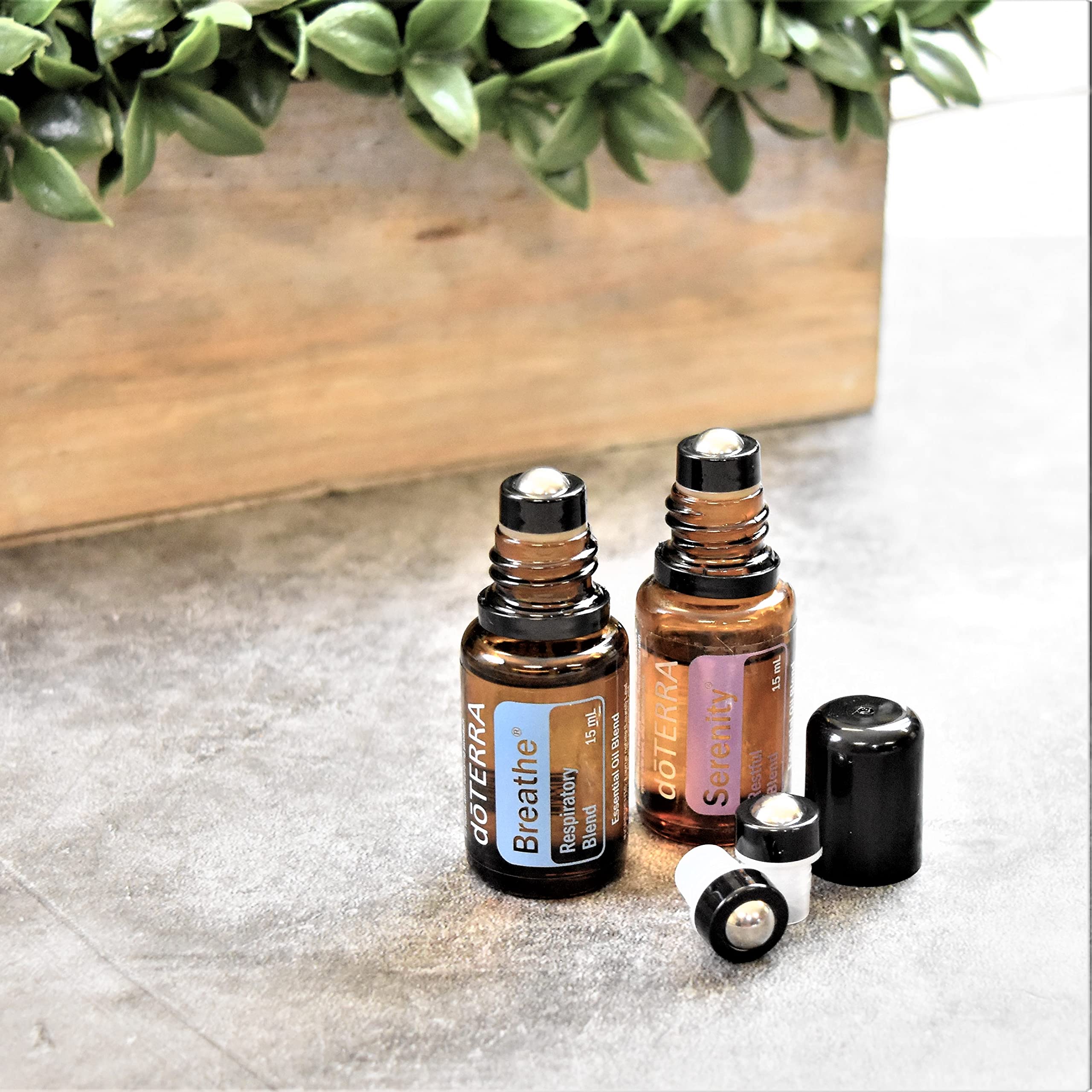 Roller Ball Inserts for 5ml 15ml Essential Oil Bottles β Tops Accessory to Turn Oils Bottle Into Instant Rollers - Fits doTERRA, Young Living, Plant Therapy - Leakproof, Metal, Reusable, 12 Pack