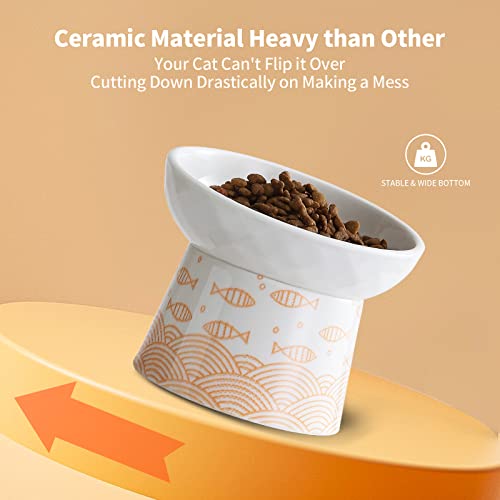Ceramic Raised Cat Bowls, Elevated Tilted Cat Food and Water Bowl Set, Porcelain Stress Free Pet Feeder Dish for Cats and Small Dogs, Dishwasher and Microwave Safe, Set of 2