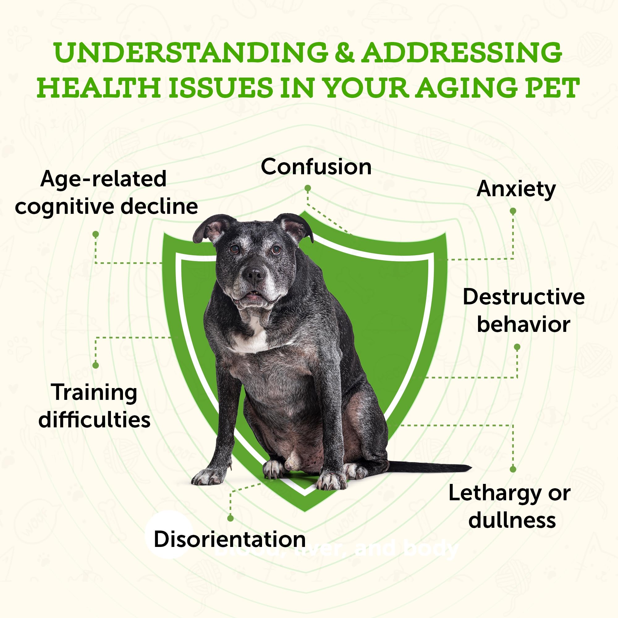 Animal Essentials Brain Awake for Dogs & Cats - Cognitive Support Supplement, Senior Support, Lion's Mane, Brain Health, Herbal Formula - 1 Fl Oz