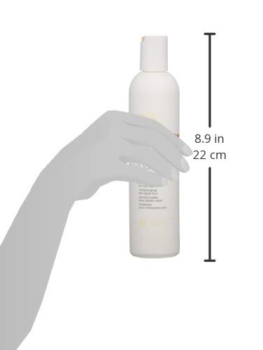 milk_shake Curl Passion Conditioner, 10.1 Fl Oz