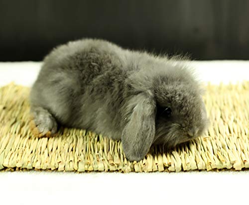 Yesland 12 Pack Woven Bed Mat for Rabbits - Grass Mat & Bunny Bedding Nest - Rabbit Bed and Natural Chew Toy Bed for Guinea Pig Chinchilla Squirrel Hamster Cat Dog and Small Animal